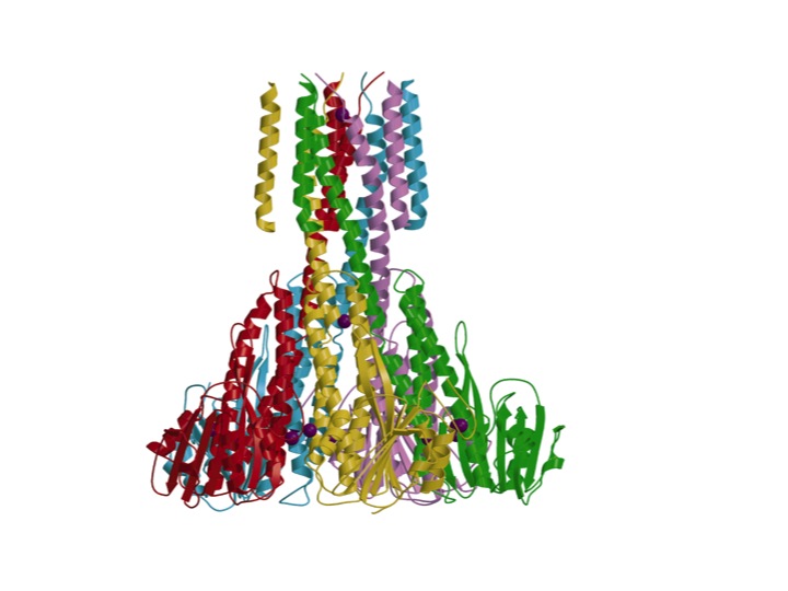 Biochemistry, University of Toronto – Emil F. Pai