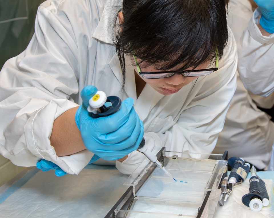 Biochemistry, University of Toronto – Biochemistry Major Program